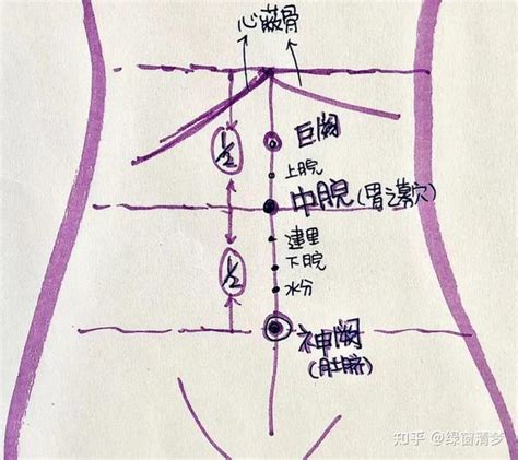 倪海厦针灸课笔记05 任脉之水分下脘中脘巨阙及基本补泻手法 知乎