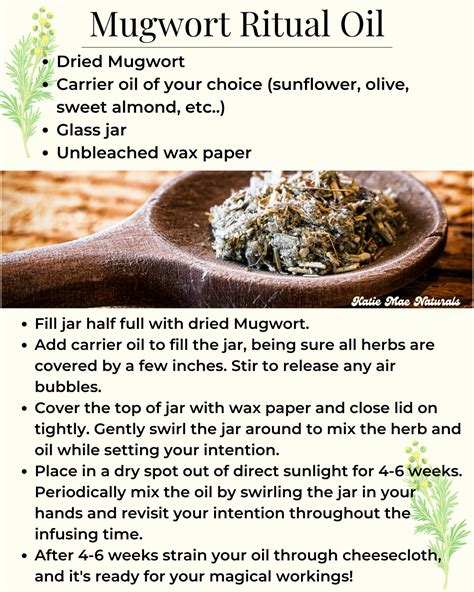 Magical And Medicinal Benefits Of Mugwort Artofit