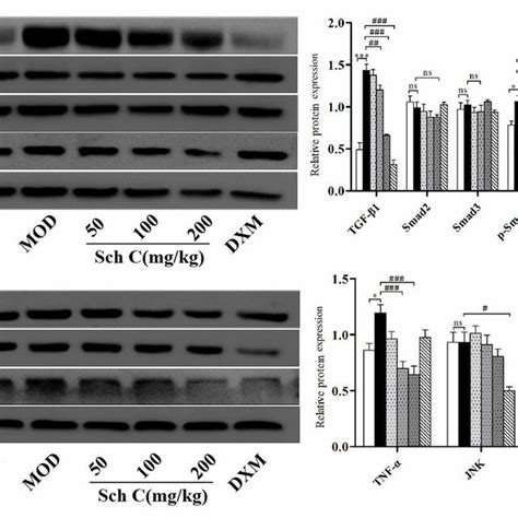 A And B Opls Da Score Plot And Permutation Score Plot Of Serum Download Scientific Diagram