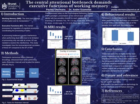 Pdf The Central Attentional Bottleneck Demands Executive Functions Of