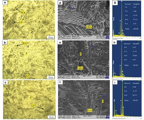 Optical Microstructure And The Scanning Electron Microscopy Images