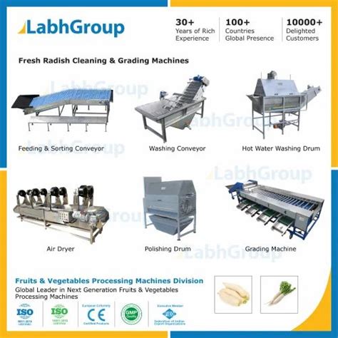 Radish Processing Plant Daikon Cleaning Grading Machine At ₹ 1000000 Unit Vegetable