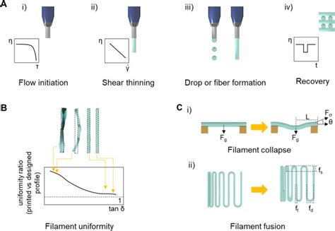 Printability And Shape Fidelity Of Bioinks In 3d Bioprinting Pmc