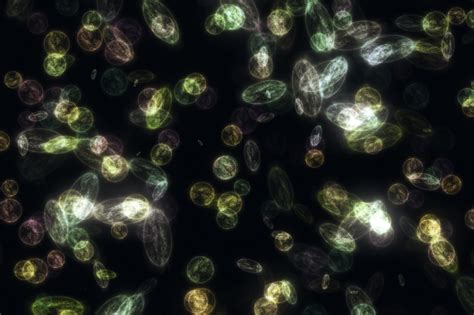 Microbiologists Have Found A Way To Use Bacteria To Remove