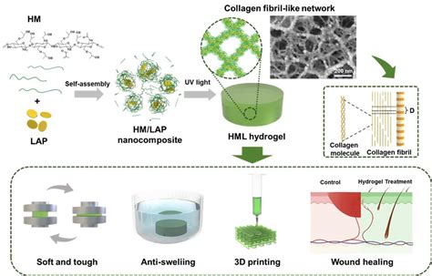 学者研发出纳米纤维水凝胶用于促进伤口愈合 化学前沿 化学组 成都市双流区立格实验学校欢迎你
