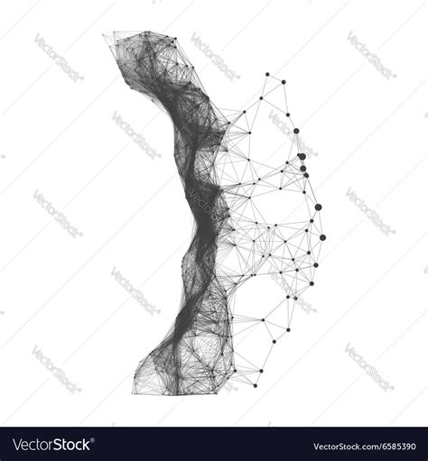 Connection Structure Wireframe Royalty Free Vector Image