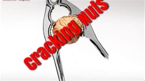 Cracking Nuts Master A L P H A Clips4sale