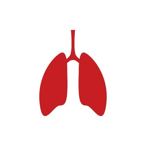 Premium Vector Lungs