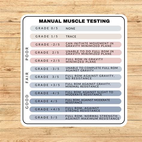 Manual Muscle Testing Sticker Manual Muscle Testing Reference Mmt Cheat Sheet Ot Sticker Pt