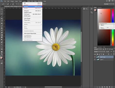 How To Deselect In Photoshop Within 5 Minutes Clipping Way