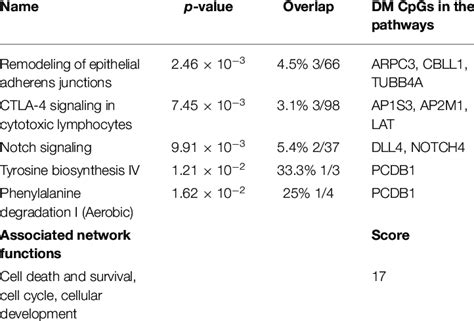 Top Canonical Pathways And Network Download Scientific Diagram
