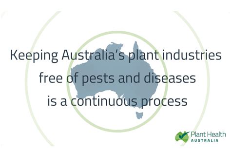Understanding Australias Plant Biosecurity System Plant Health Australia