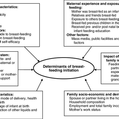 A Priori Model Developed From Published Literature Indicating Potential