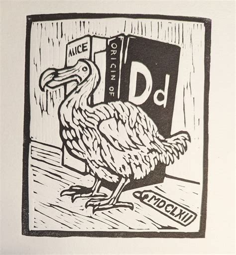 August 2024 Skulduggery By Fliss Watts Exhibition Kendal Museum