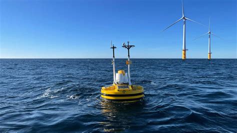 Fugro And Spoor To Develop Ai Bird Monitoring For Offshore Wind Farms