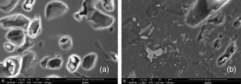 Comparison Of Pore Distribution In Dq A And Wq B Coke Breeze Download Scientific Diagram