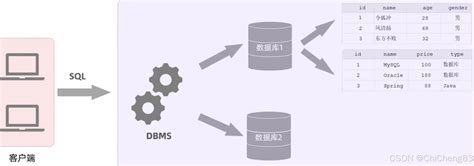 后端web之数据库以mysql为例后端数据库 Csdn博客