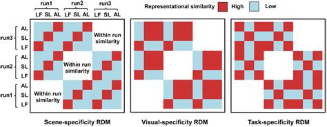 Illustration Of Predefined Representational Dissimilarity Matrices