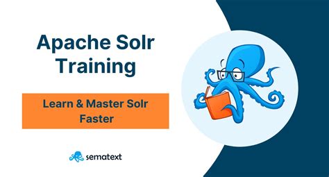 Apache Solr Training Online Courses Workshops Sematext
