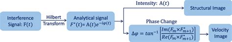 Phase‐resolved Doppler Optical Coherence Tomography Method Download Scientific Diagram