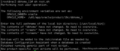 Dba进阶（一）详细步骤：linux下安装部署oracle 19c Rac集群linux部署高可用oracle 19c集群 Csdn博客
