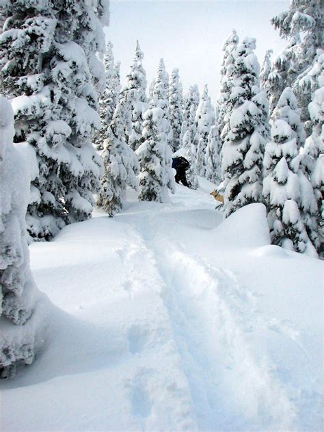 The Snow Trail Photos Diagrams And Topos Summitpost