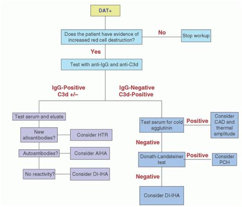 Autoimmune Hemolytic Anemia Oncohema Key