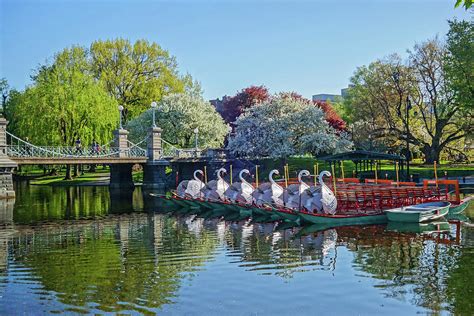 Boston Public Garden Swan Boats