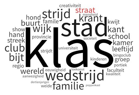 Interview Judy Elfferich Oplossing Raadgedicht