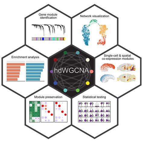 Hdwgcna Identifies Co Expression Networks In High Dimensional
