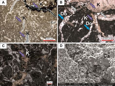 A Optical Photomicrograph Xpl Showing Micro Fractures Filled With Download Scientific