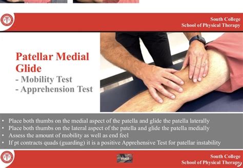 Knee Examination Procedures Flashcards Quizlet