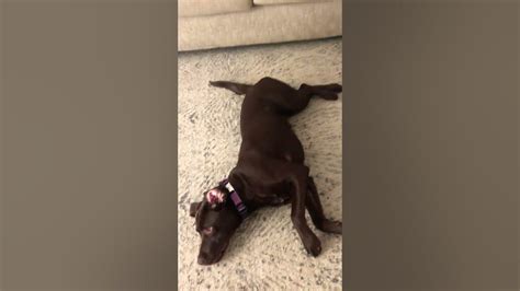 Is She Mutating Youtube