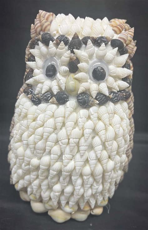 Shell Animal Owl Driftstone Pueblo Wholesale