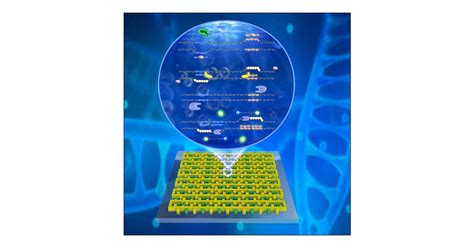 Adsorption Free Self Priming Direct Digital Dual Crrna Crispr Cas12a Assisted Chip For
