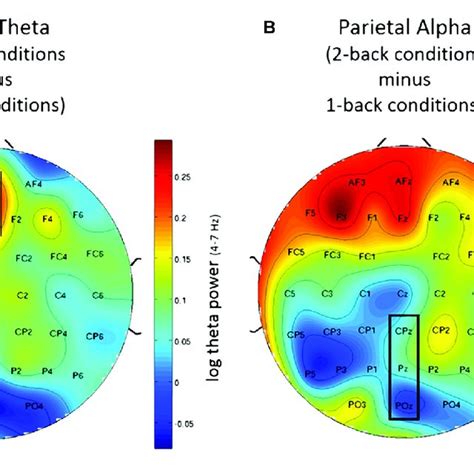 Topographic Plots Showing Difference In EEG Workload Measures Between Download Scientific