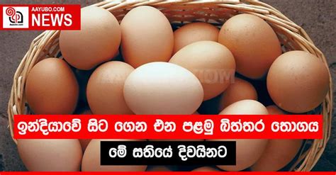 ඉන්දියාවේ සිට ගෙන එන පළමු බිත්තර තොගය මේ සතියේ දිවයිනට