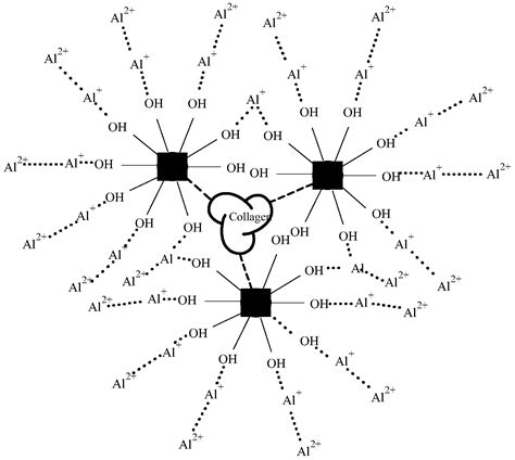 Synthetic Method Of Collagen Hyperbranched Polyestermetallic Ion