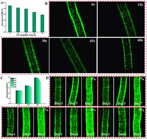The Viability And Proliferation Of Cells In The Cell Encapsulated Download Scientific Diagram
