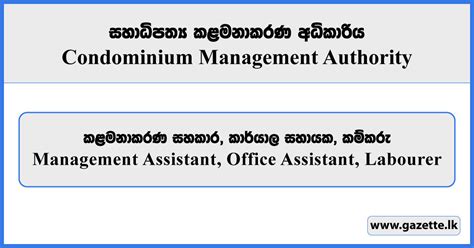 Management Assistant Office Assistant Labourer Condominium Management Authority Vacancies