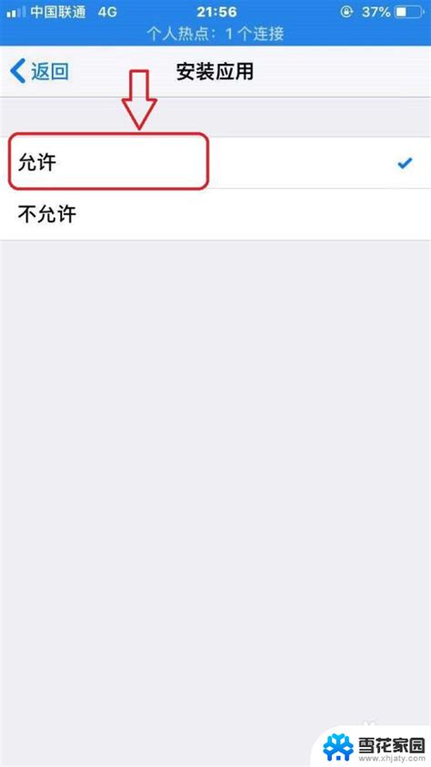 为什么苹果安装不了软件应用 苹果手机无法下载软件怎么办 雪花家园