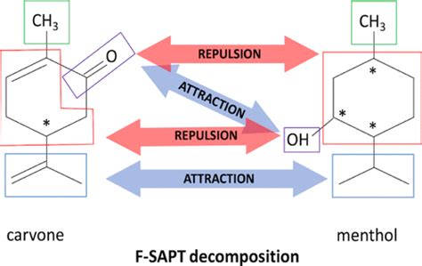 官能团对称性微扰理论中手性配合物的描述——sr 香芹酮与 薄荷醇衍生物的案例。the Journal Of Physical