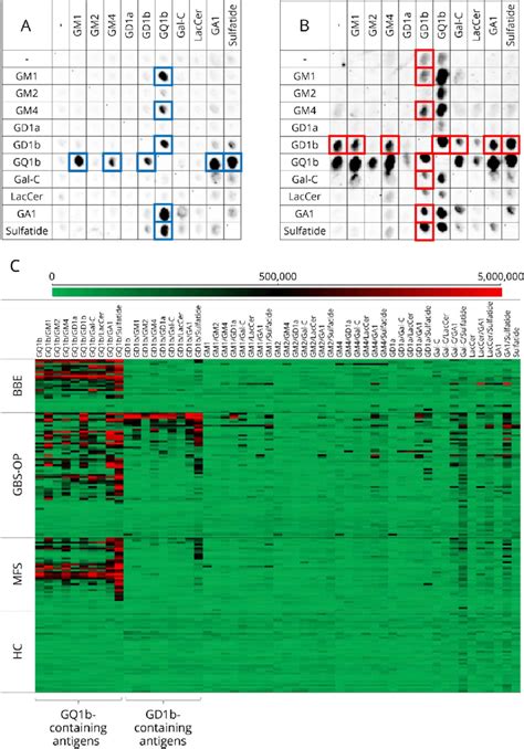 Figure Representative Antibody Reactivities And Heat Map Of Antibody Download Scientific