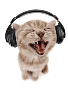 Cat With Headphones Far Tenor