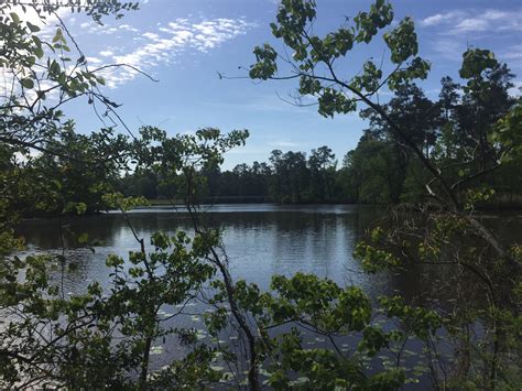 Lake Houston Waterfront Land For Sale At Mary Sims Blog