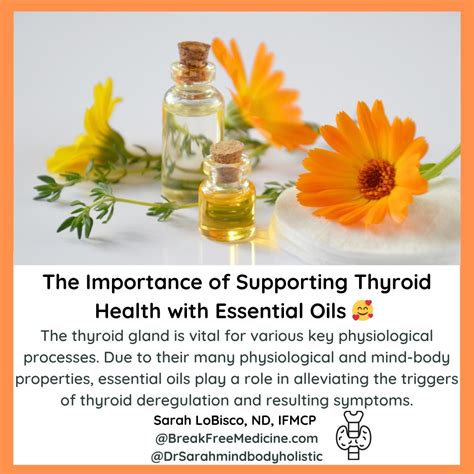 Revisiting The Importance Of Supporting Thyroid Health With Essential