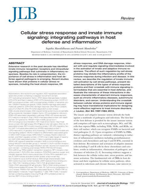 Pdf Cellular Stress Response And Innate Immune Signaling Integrating Pathways In Host Defense