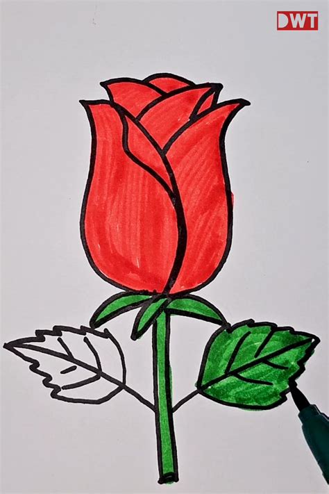 How To Draw A Realistic Rose Step By Step For Beginners Watercolor
