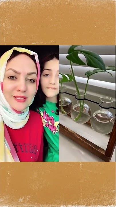 اختارتوا مومو ولا موس موس🙈 Youtube