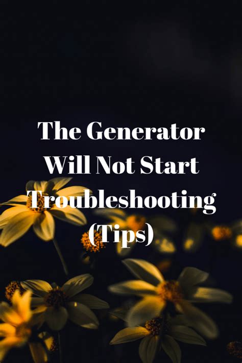 Why The Generator Will Not Start Troubleshooting Generators Zone